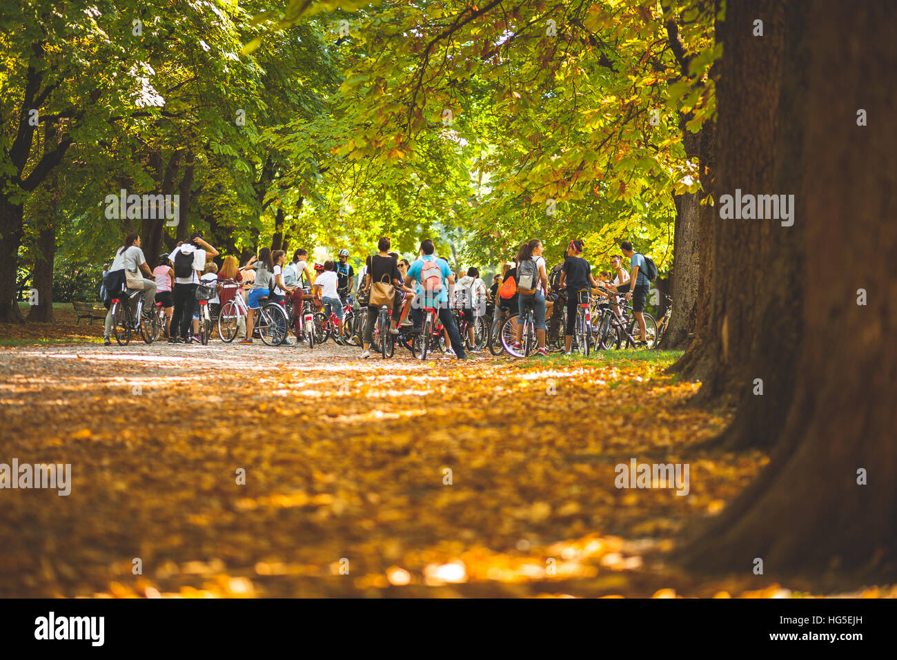 Group of cyclists planning the ride in the park, ready to go Stock ...