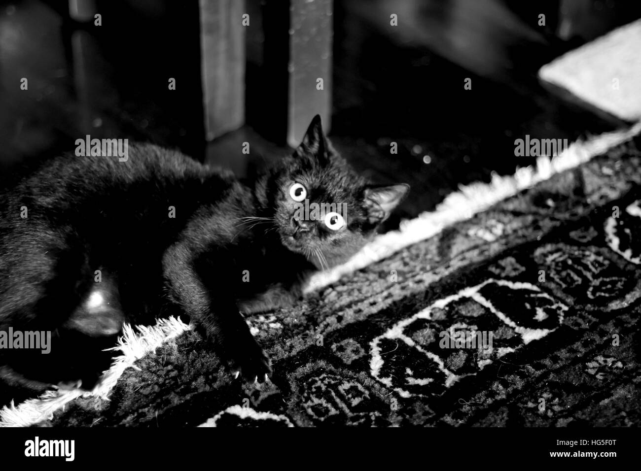 Red and black eyes Black and White Stock Photos & Images - Alamy