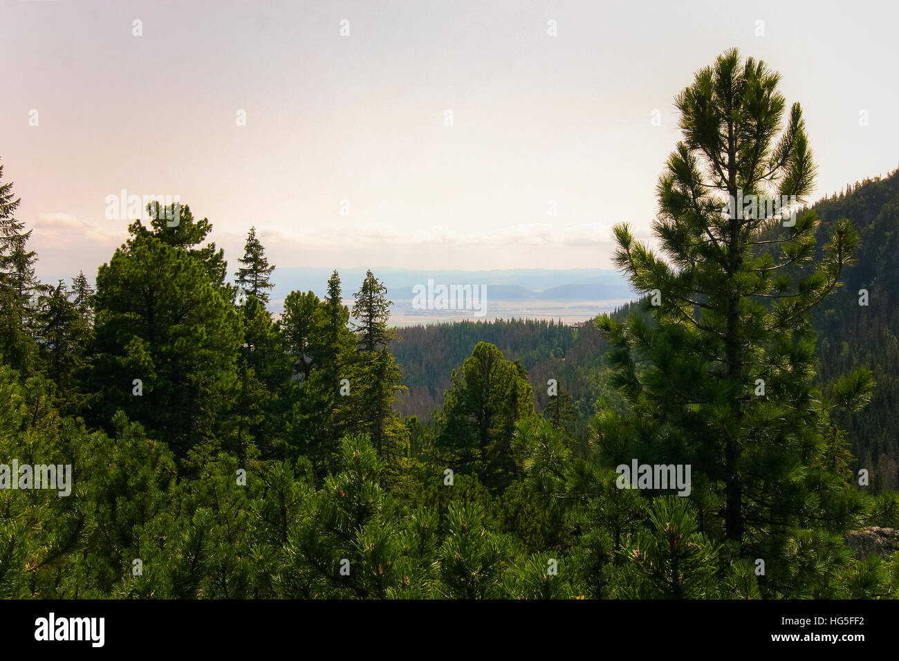 A beautiful mountain landscape with trees Stock Photo - Alamy