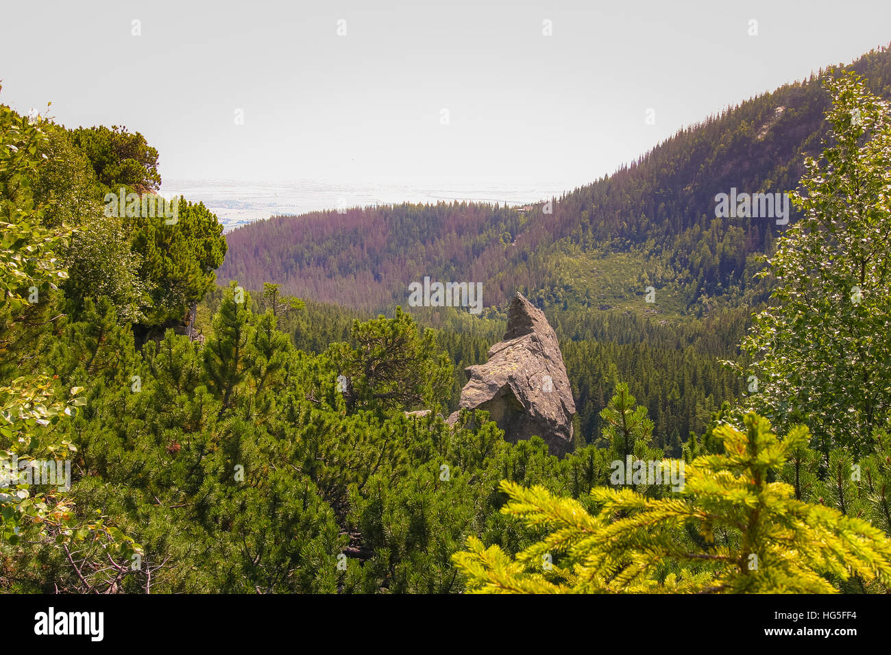 A beautiful mountain landscape with trees Stock Photo - Alamy