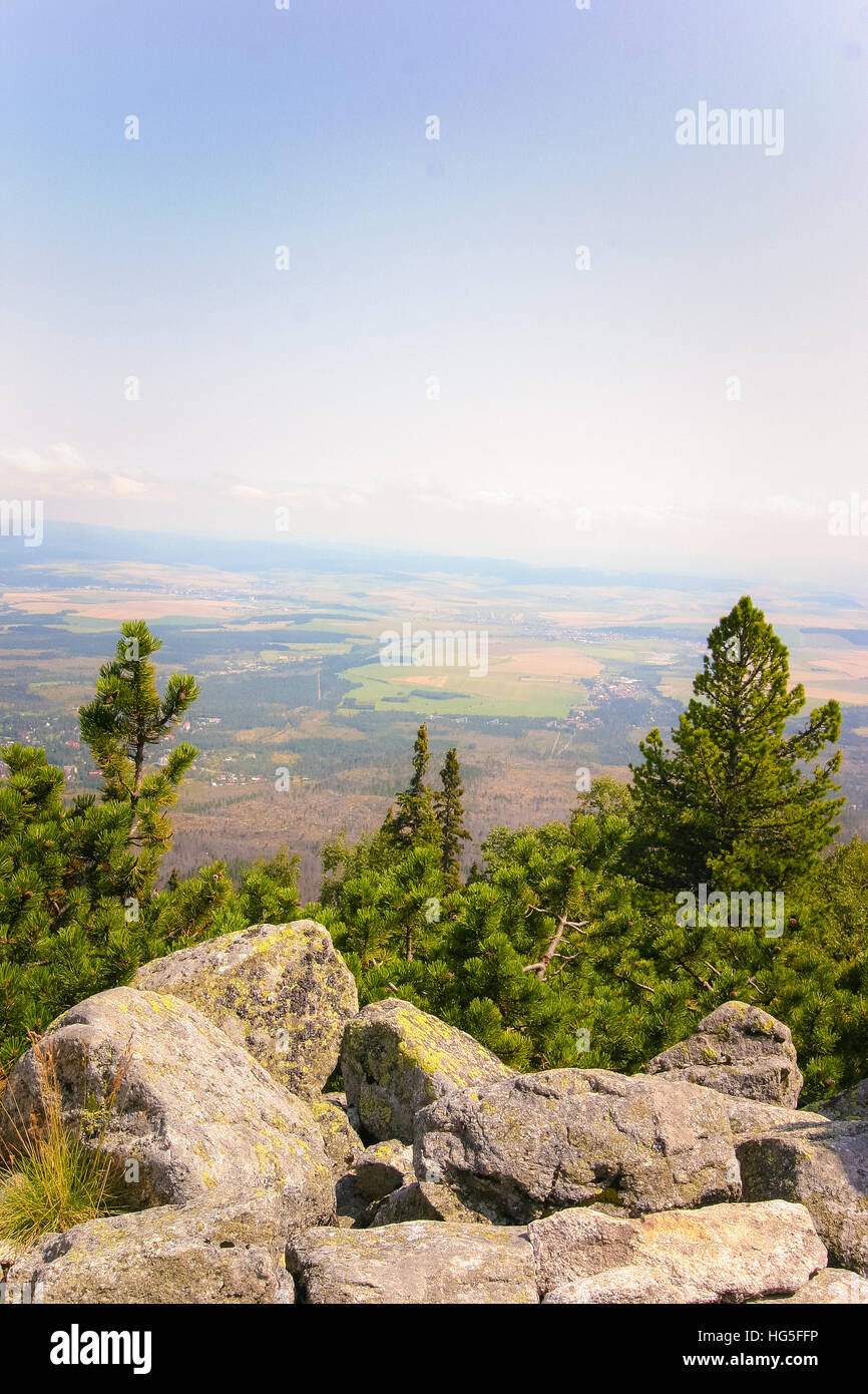 A beautiful mountain landscape with trees Stock Photo - Alamy