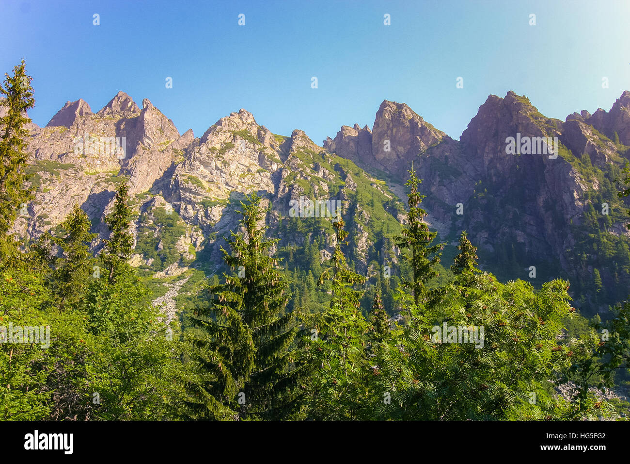 A beautiful mountain landscape with trees Stock Photo - Alamy