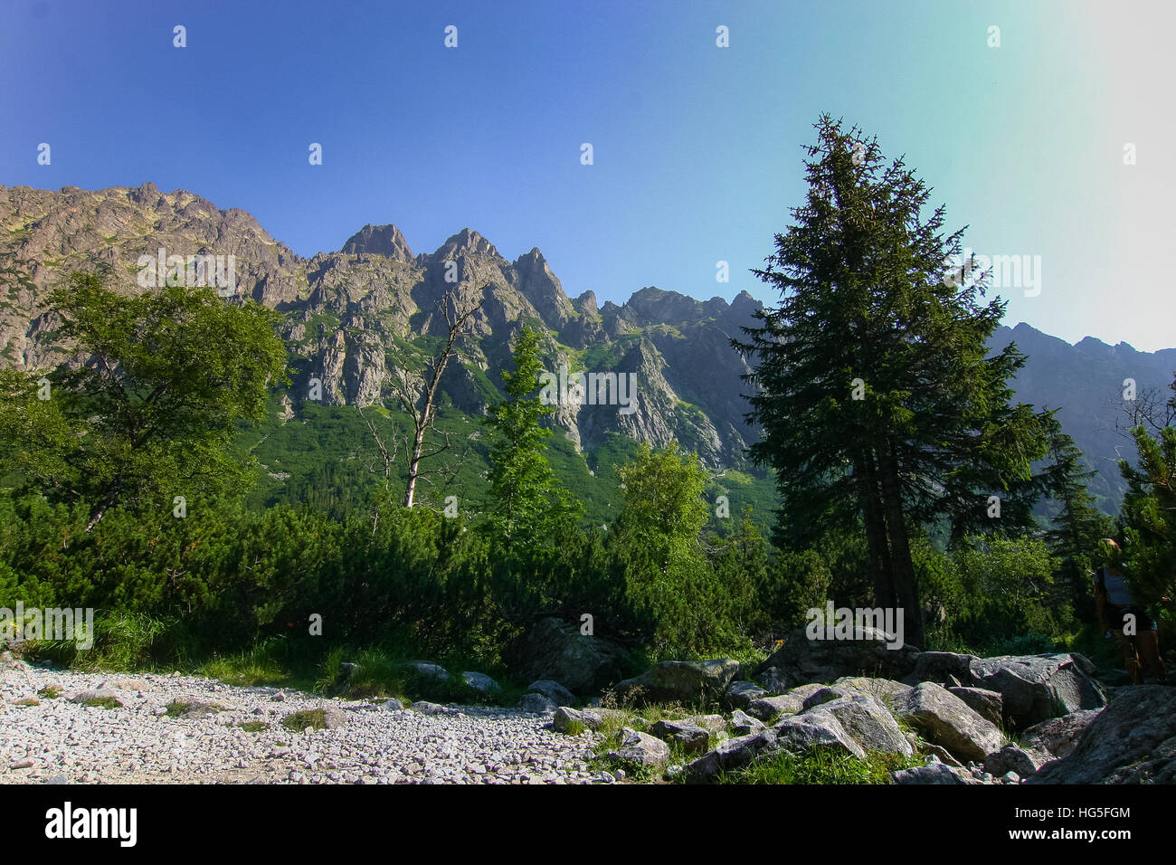 A beautiful mountain landscape with trees Stock Photo - Alamy