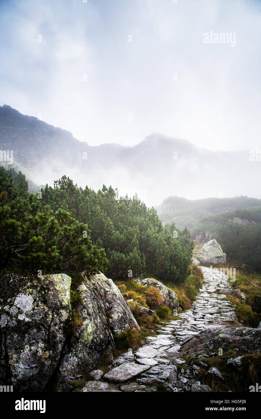 A beautiful mountain landscape with trees Stock Photo - Alamy