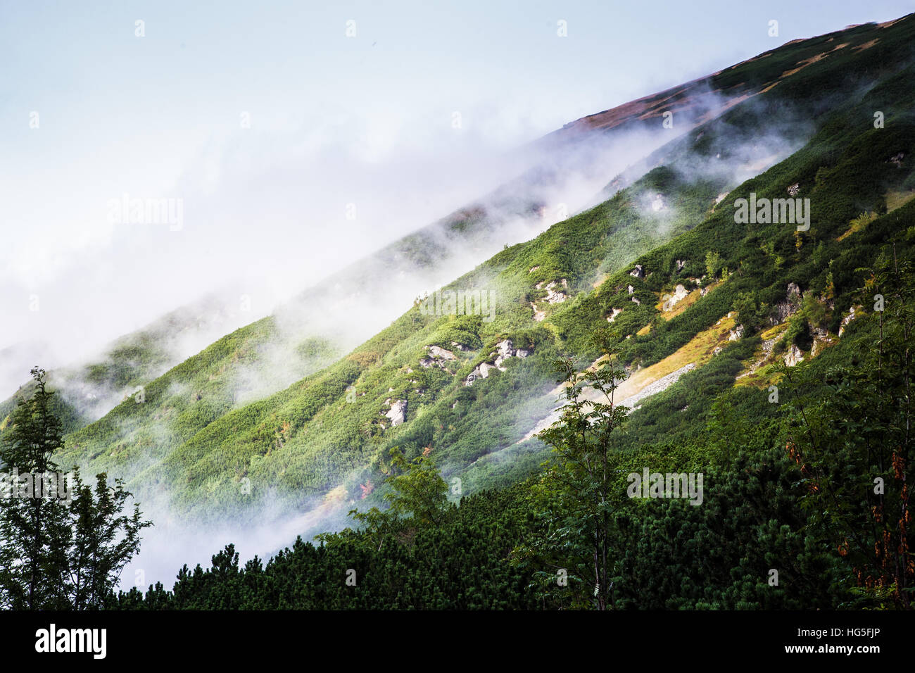 A beautiful mountain landscape with trees Stock Photo - Alamy