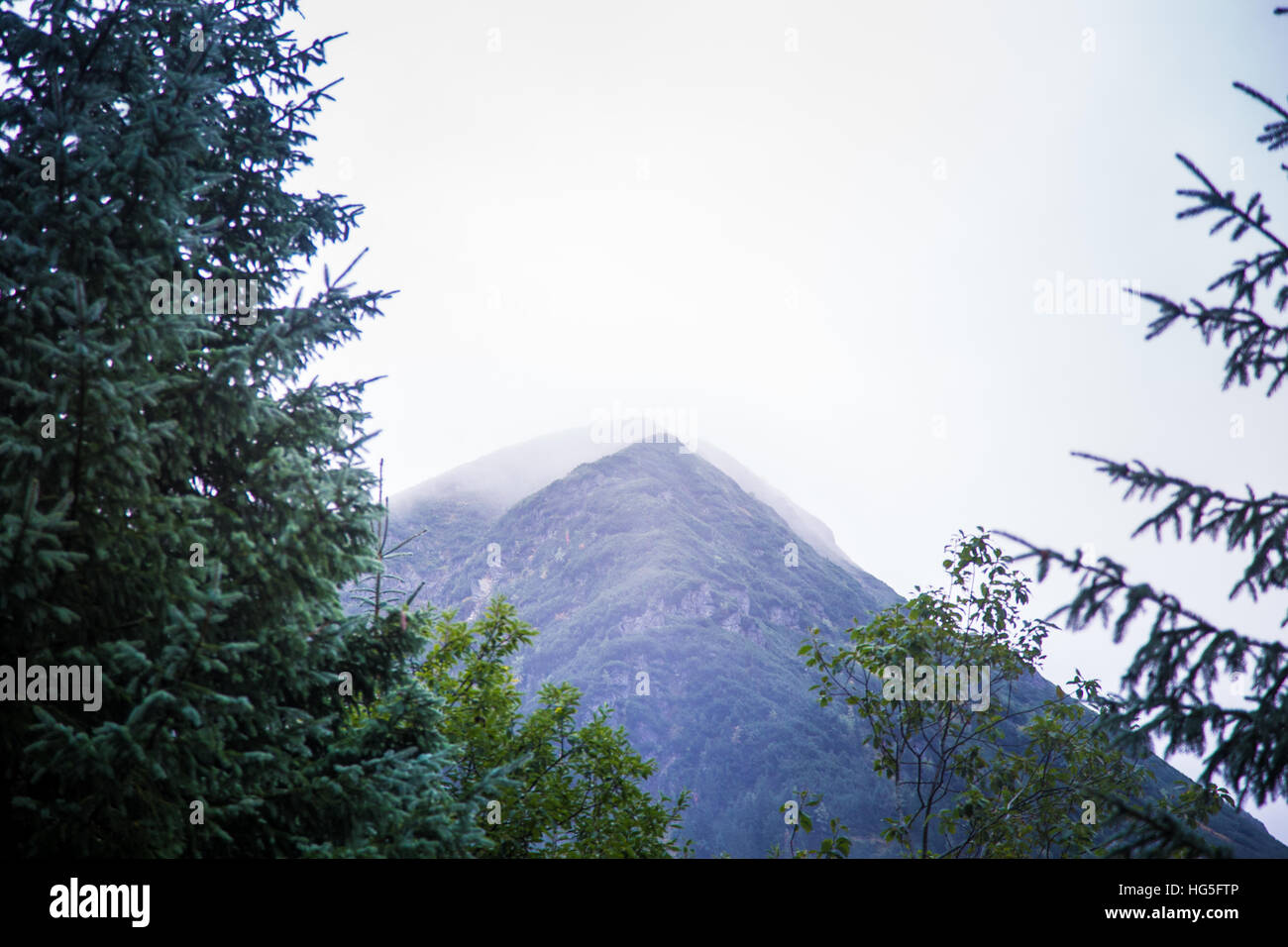 A beautiful mountain landscape with trees Stock Photo - Alamy