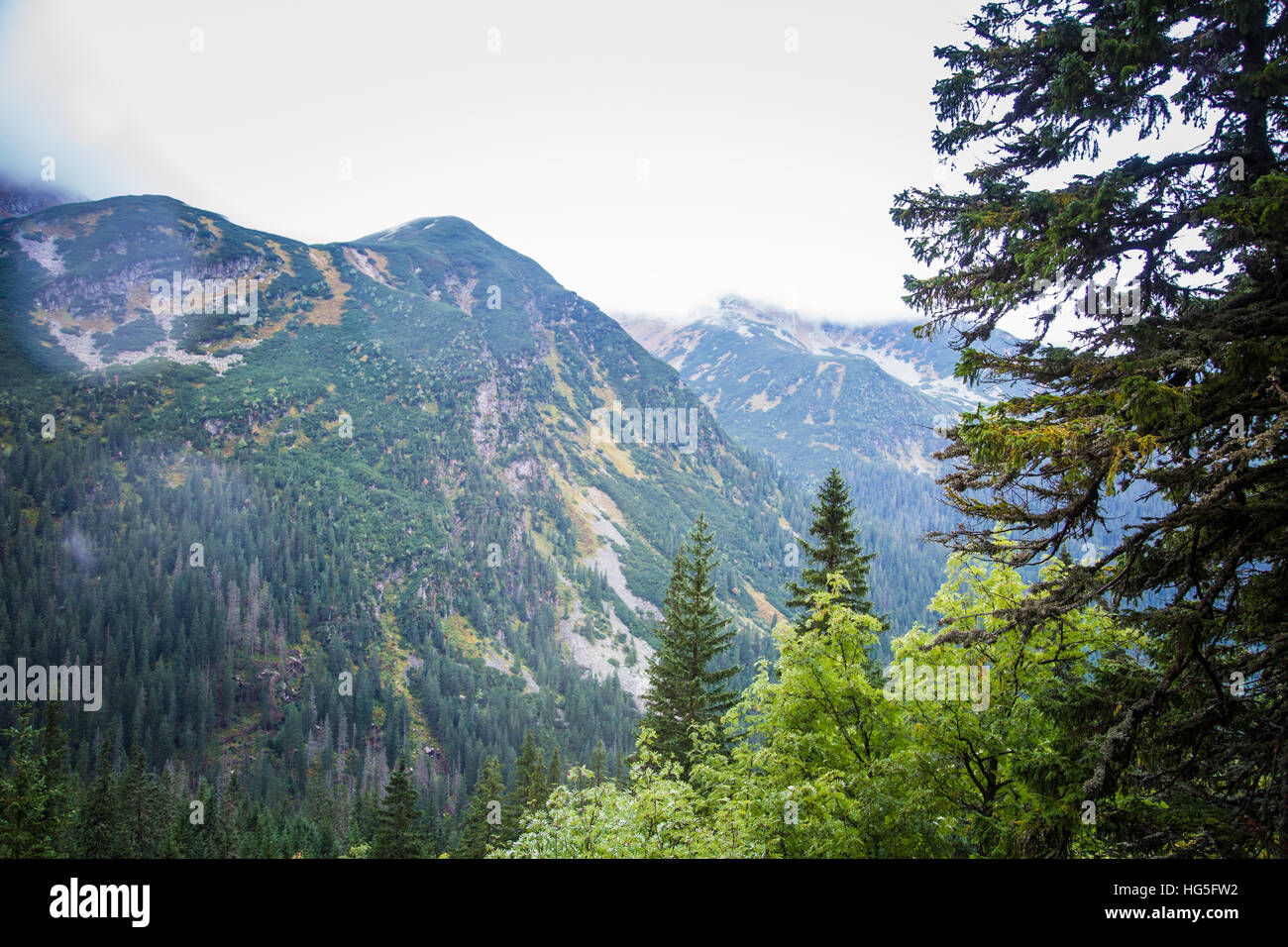 A beautiful mountain landscape with trees Stock Photo - Alamy