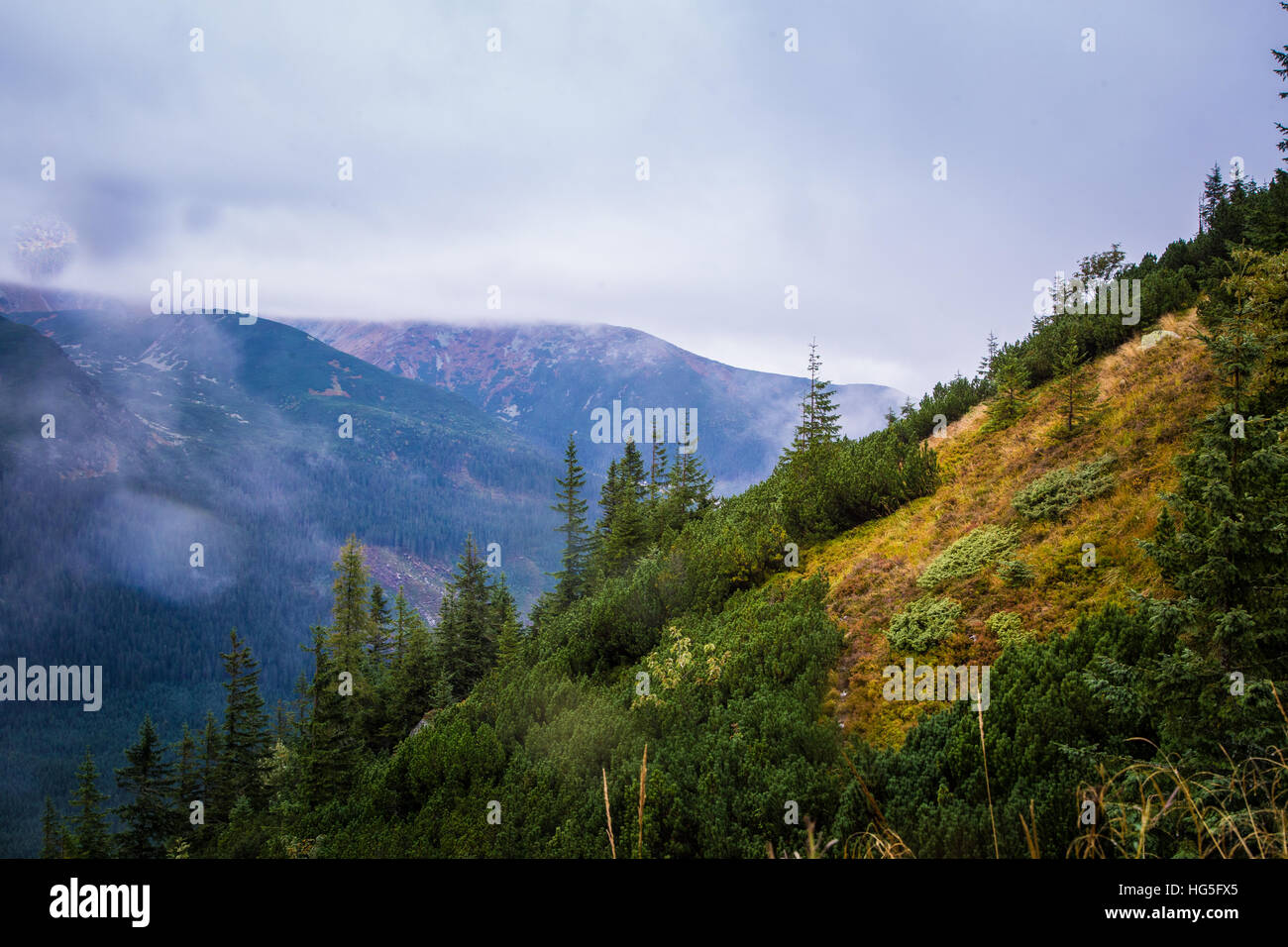 A beautiful mountain landscape with trees Stock Photo - Alamy