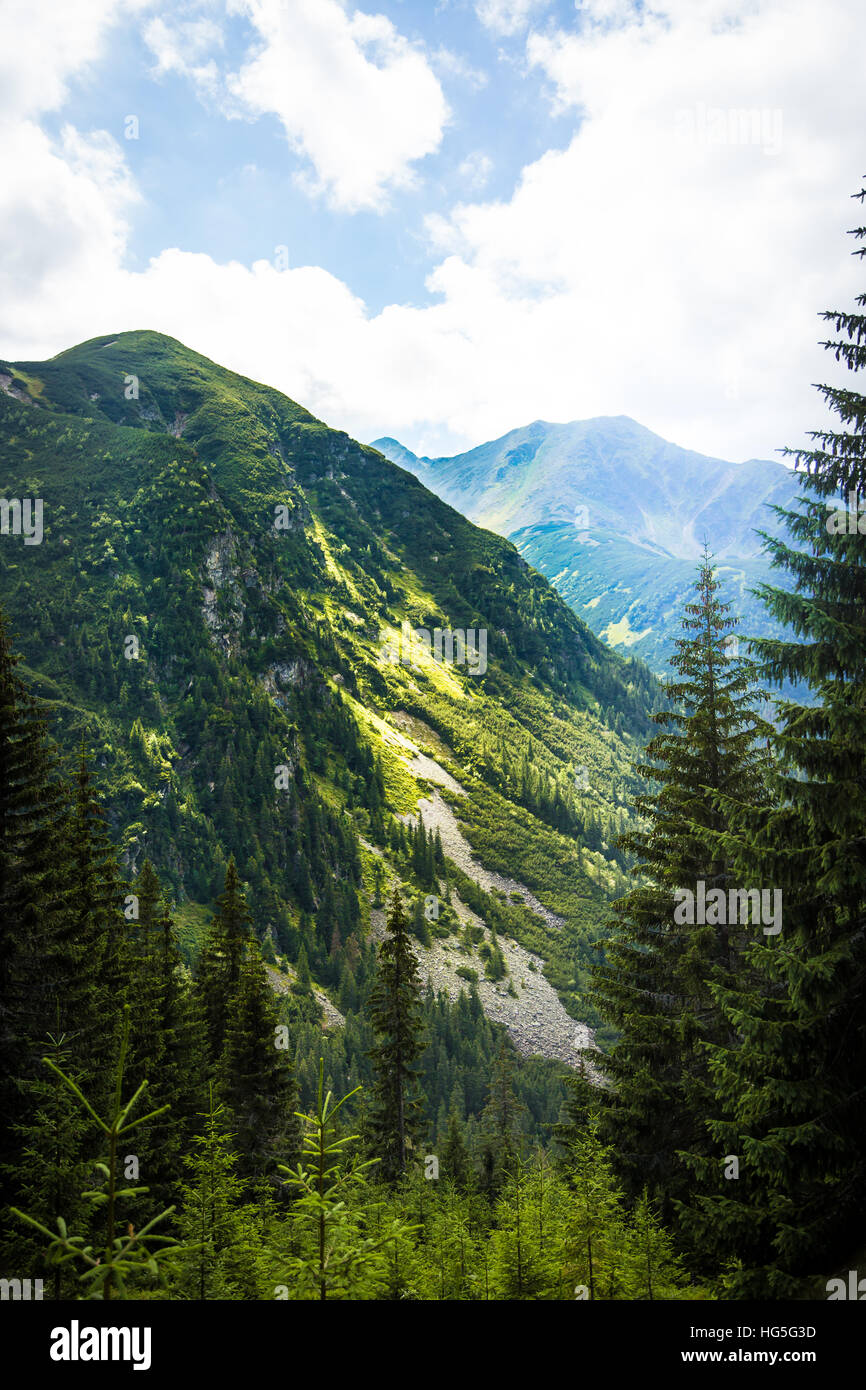 A beautiful mountain landscape with trees Stock Photo - Alamy