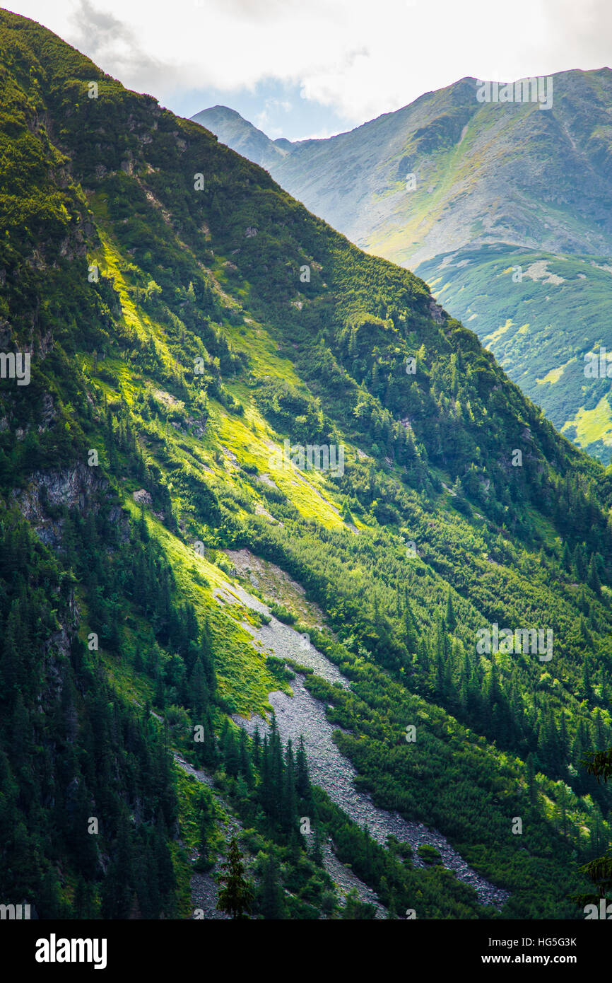 A beautiful mountain landscape with trees Stock Photo - Alamy
