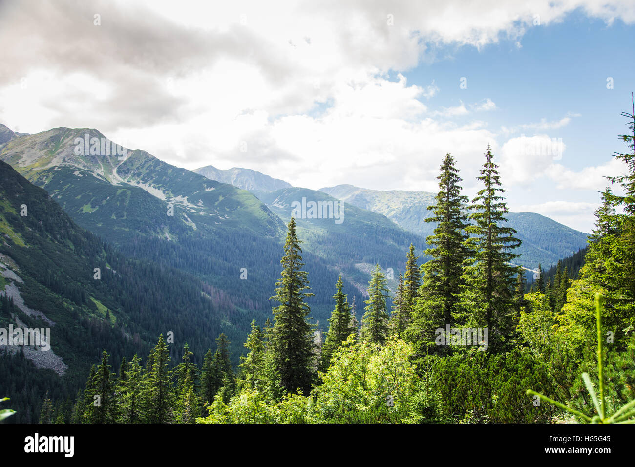 A beautiful mountain landscape with trees Stock Photo - Alamy