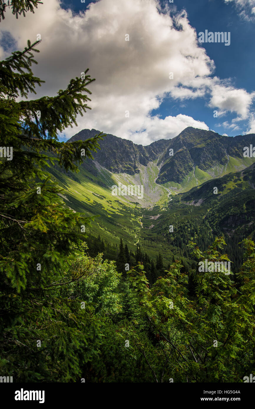 A beautiful mountain landscape with trees Stock Photo - Alamy