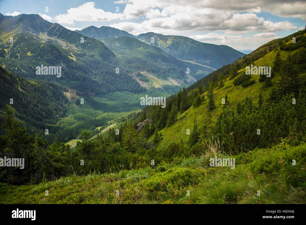 A beautiful mountain landscape with trees Stock Photo - Alamy