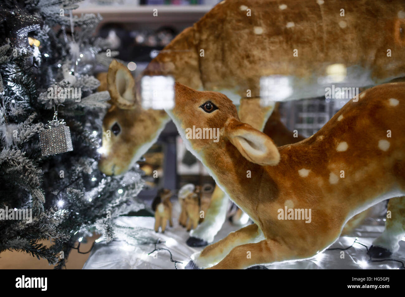 Models of christmas deer with a christmas tree in a shop window display ...