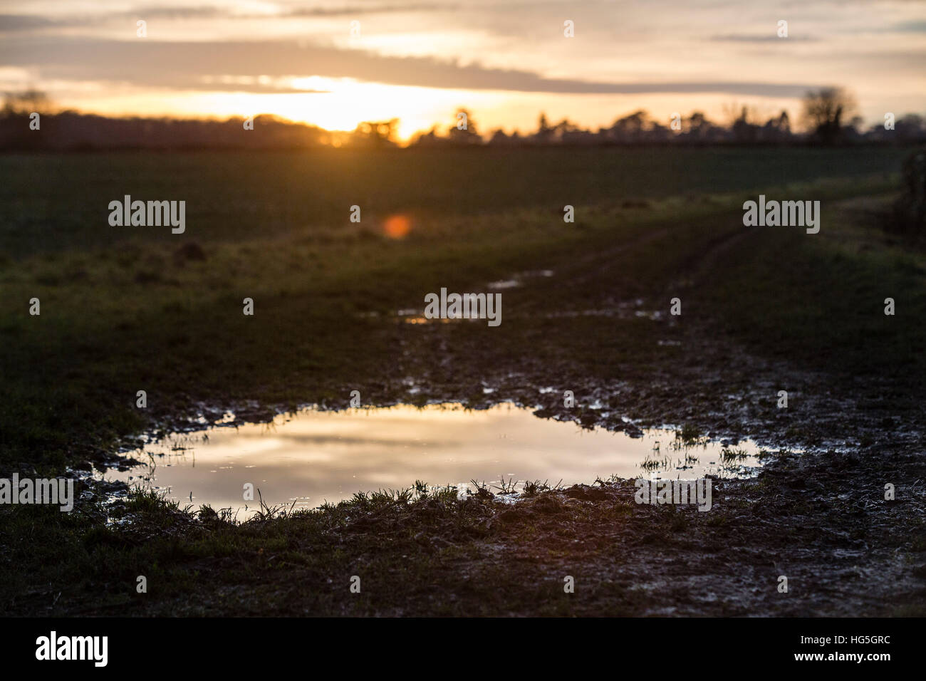 Puddle field hi-res stock photography and images - Alamy