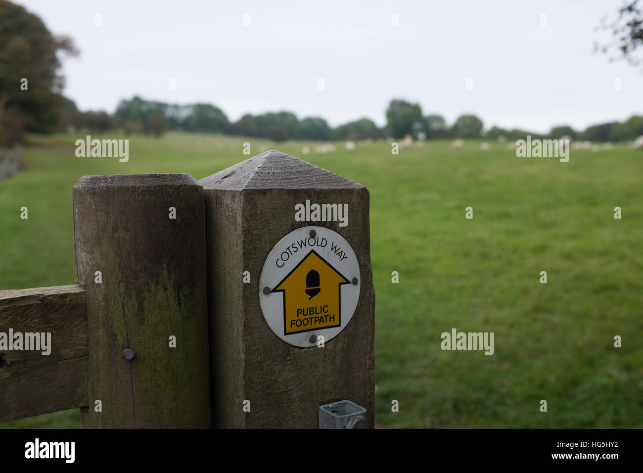 Cotswold way sign hi-res stock photography and images - Alamy