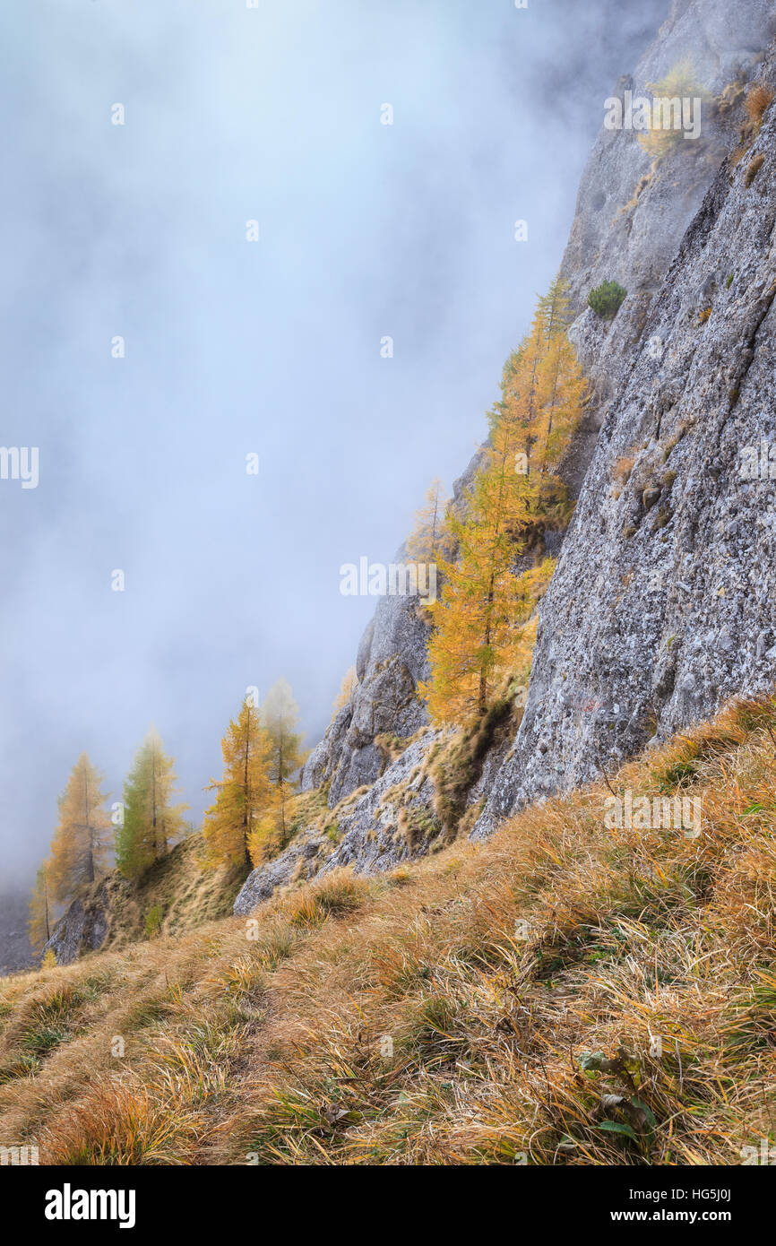 Bucegi Mountains, Romania Stock Photo - Alamy