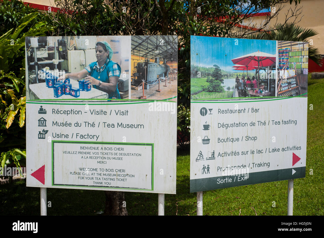 Bois Cheri Tea Factory and Tea Museum in Mauritius Stock Photo - Alamy