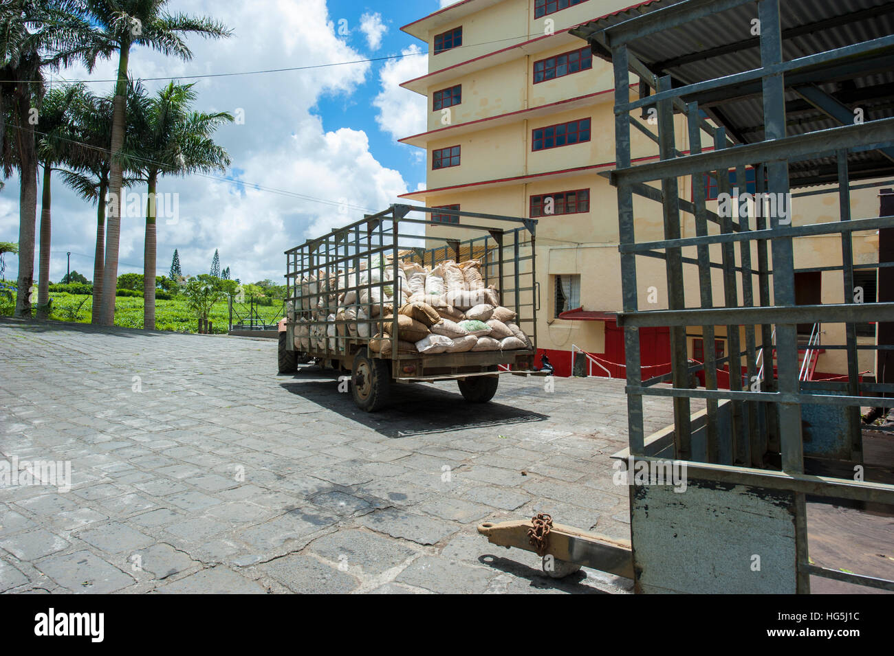 Bois Cheri Tea Factory and Tea Museum in Mauritius Stock Photo - Alamy