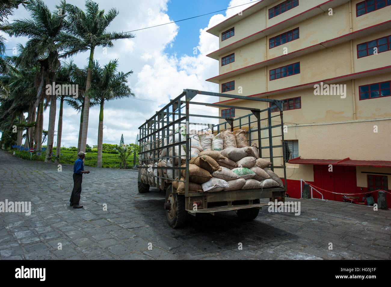 Bois Cheri Tea Factory and Tea Museum in Mauritius Stock Photo - Alamy