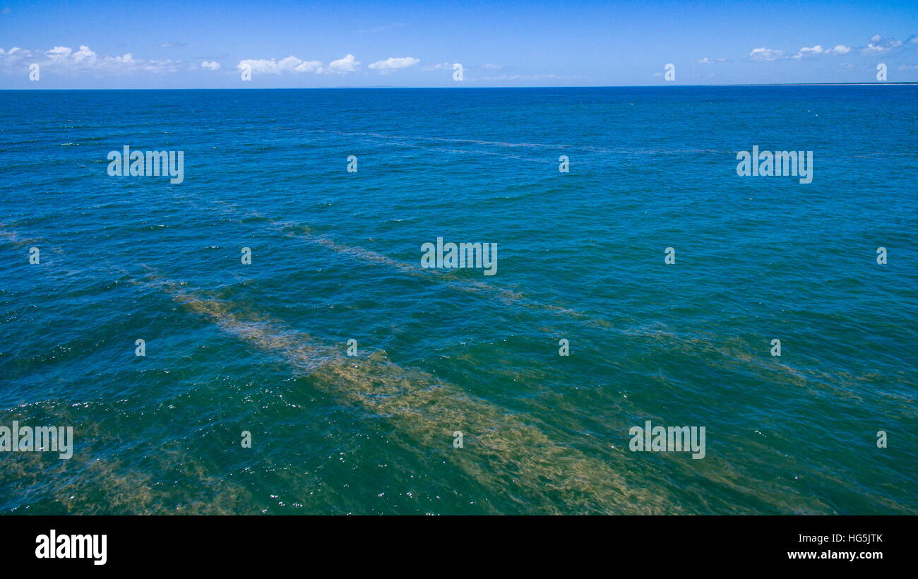 Blue green algae hi-res stock photography and images - Alamy