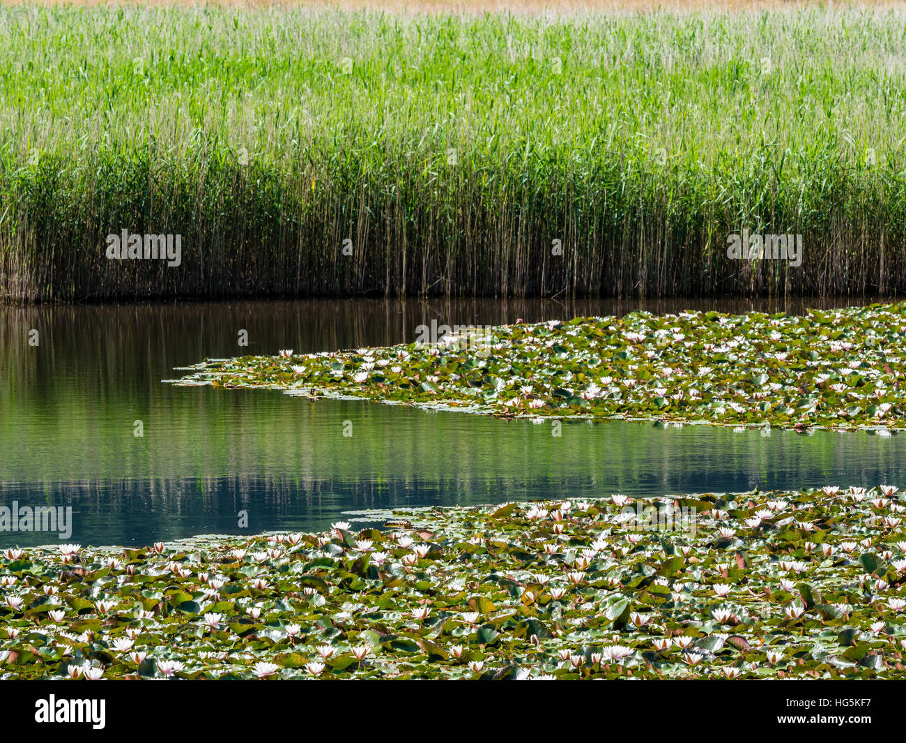 Meerfelder Maar High Resolution Stock Photography and Images - Alamy