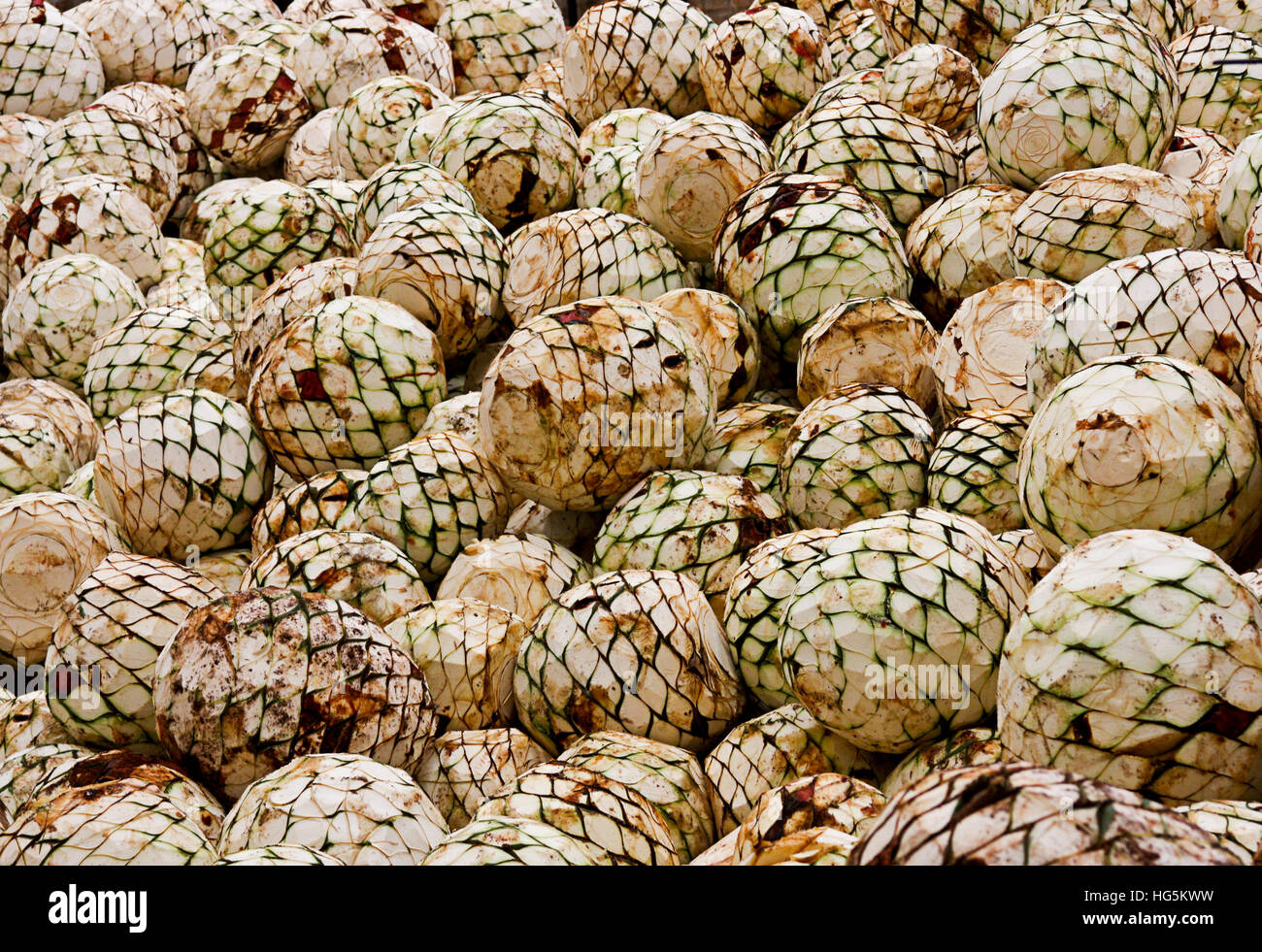 Agave ovens hi-res stock photography and images - Alamy