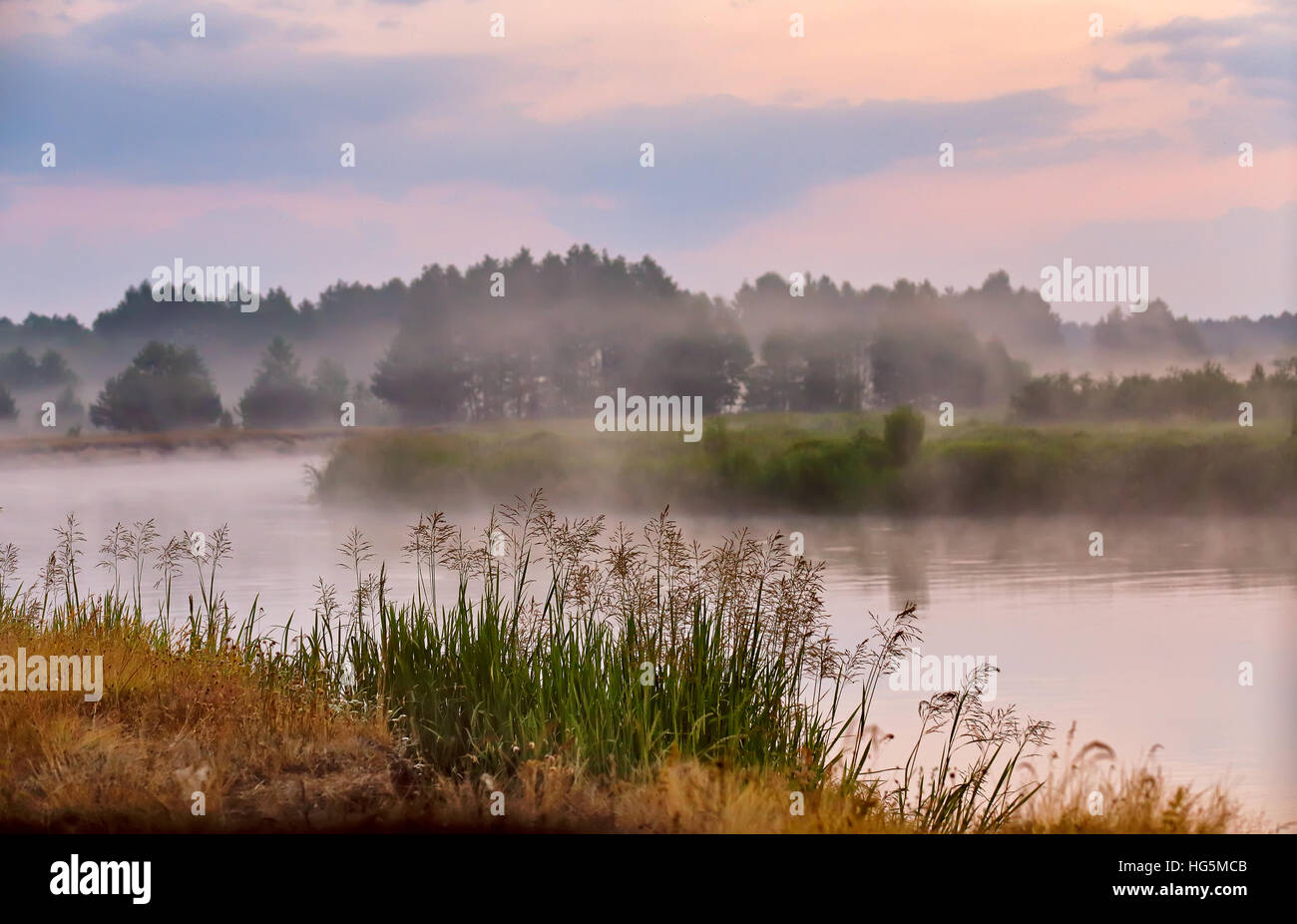 Foggy river in the morning. Misty dawn at summer season. Misty morning ...