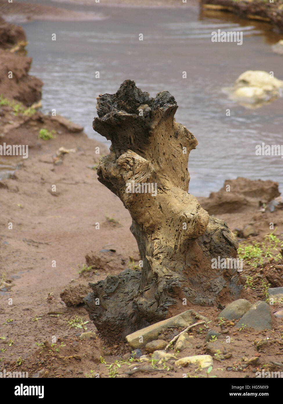Dirty lake reflection dry hi-res stock photography and images - Alamy