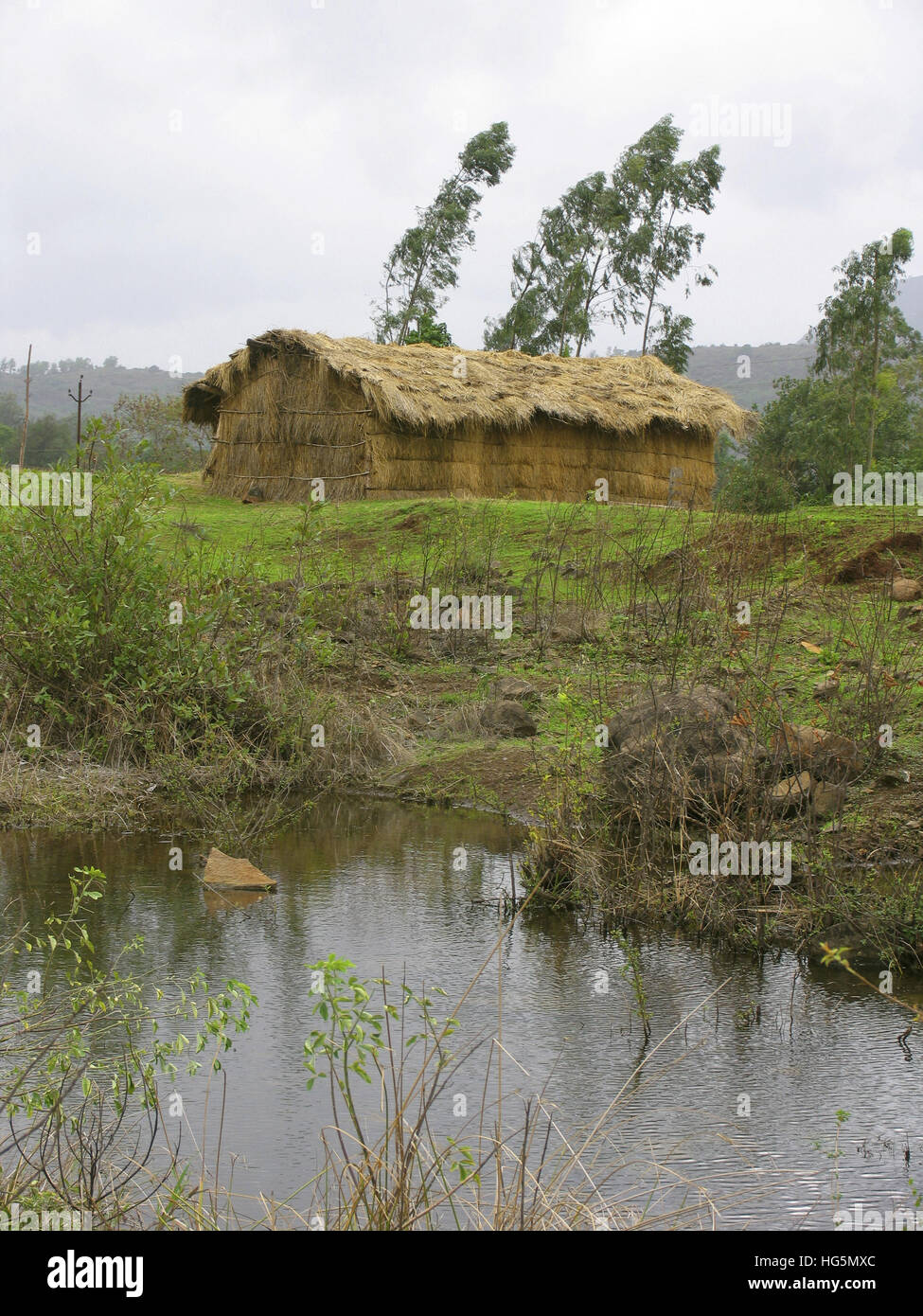 Zopadi hi-res stock photography and images - Alamy