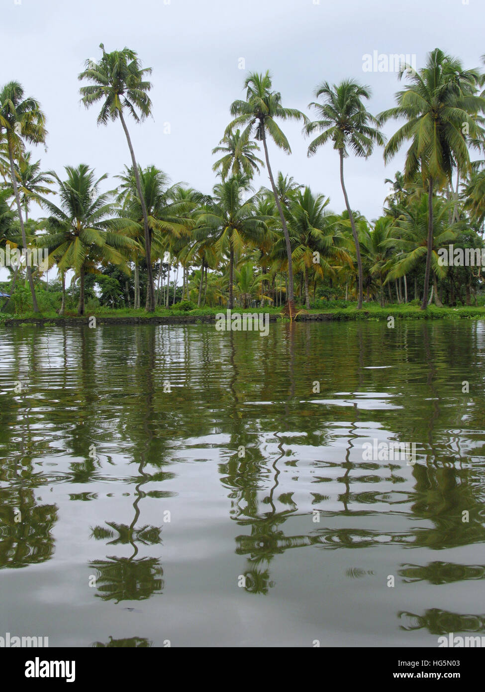 Landscape—Back waters of Kerala. India Stock Photo - Alamy