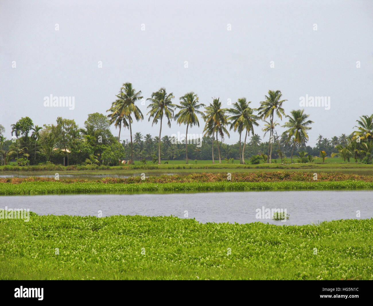 Landscape tagari kerala india hi-res stock photography and images - Alamy