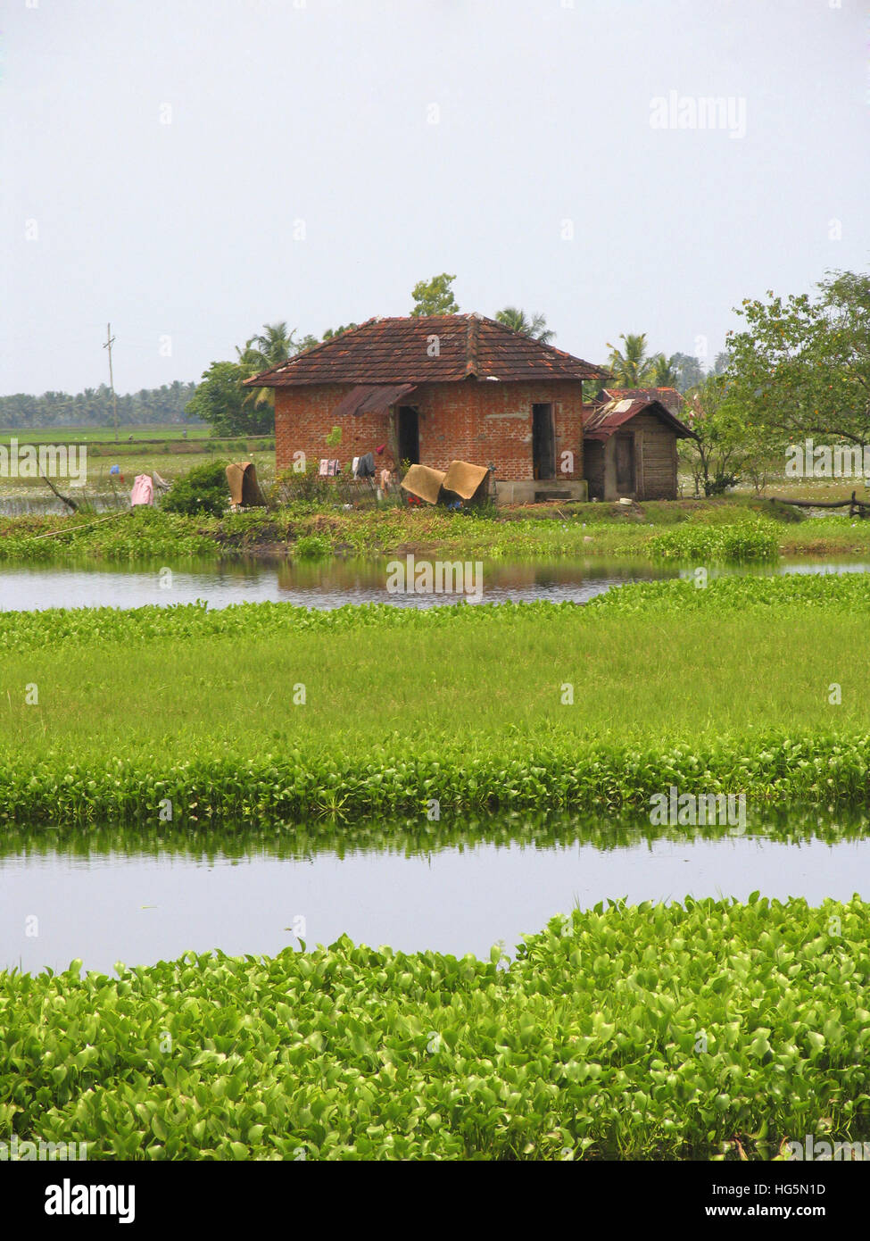Landscape tagari kerala india hi-res stock photography and images - Alamy