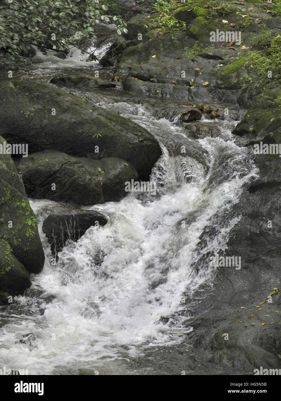 Papanashini river. Thirunelli, Kerala, India Stock Photo - Alamy