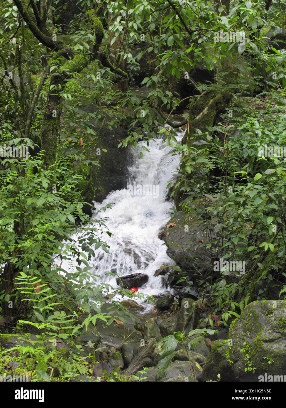 Papanashini river. Thirunelli, Kerala, India Stock Photo - Alamy