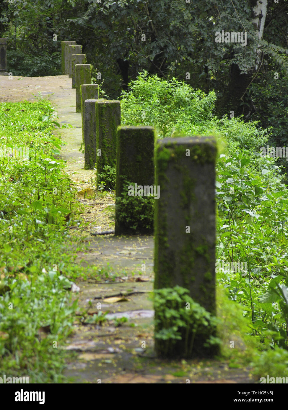 A pathway in Papanashini, Dakshina Kashi, Kerala, India Stock Photo - Alamy