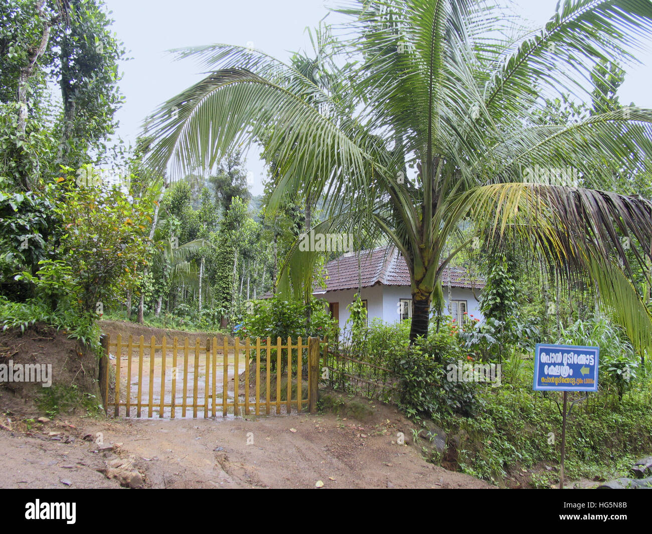 Rural house in Kerala, India Stock Photo - Alamy