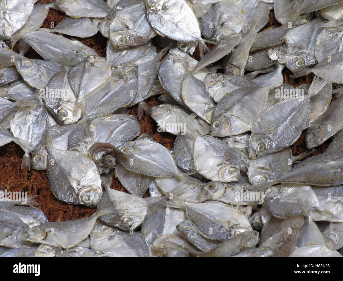 Dry Fish for sale. Kerala, India Stock Photo - Alamy