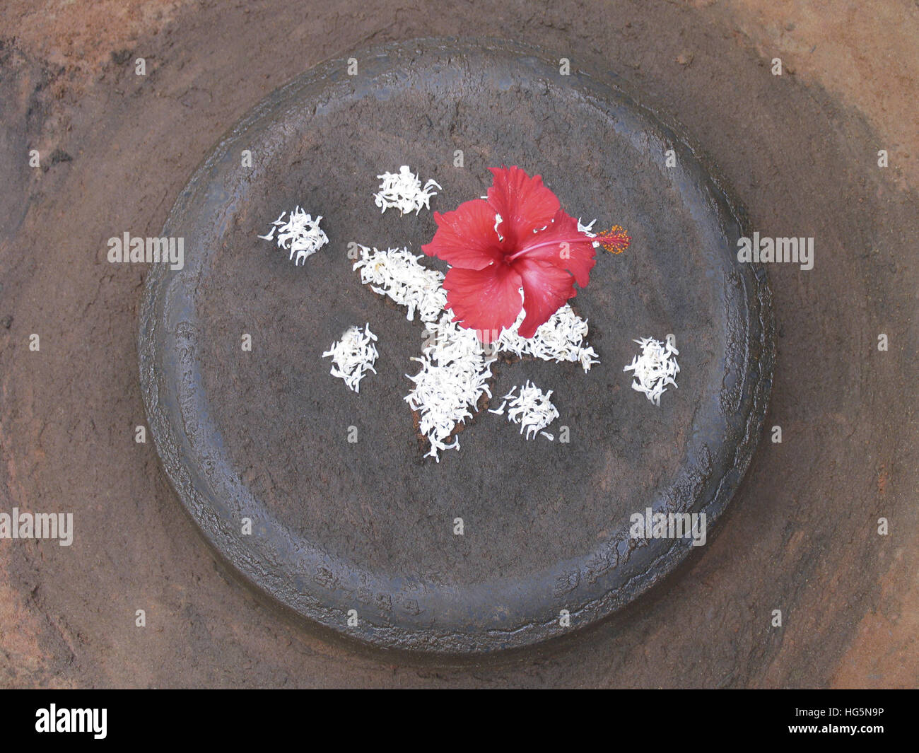 Flower carpets popularly known as Pookalam marks the onset of Onam Onam ...