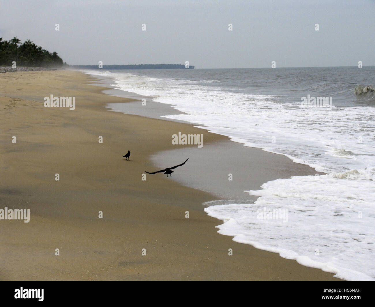 Stretch of sand and waves, Kappad beach, Kerala, India Stock Photo - Alamy