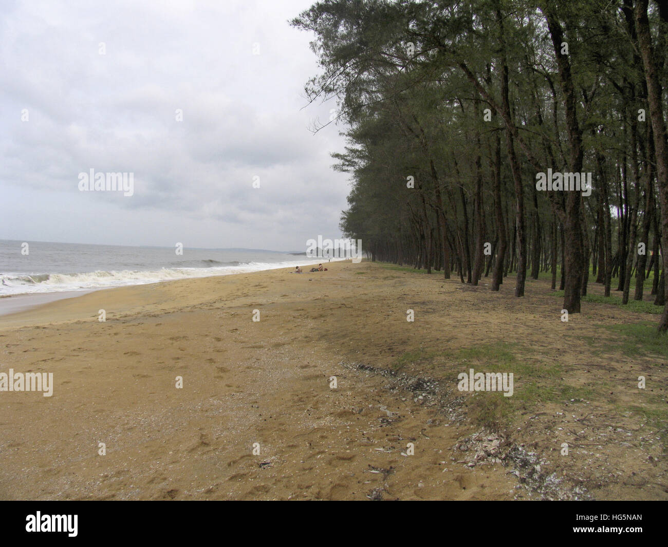 Stretch of sand and waves, Kappad beach, Kerala, India Stock Photo - Alamy