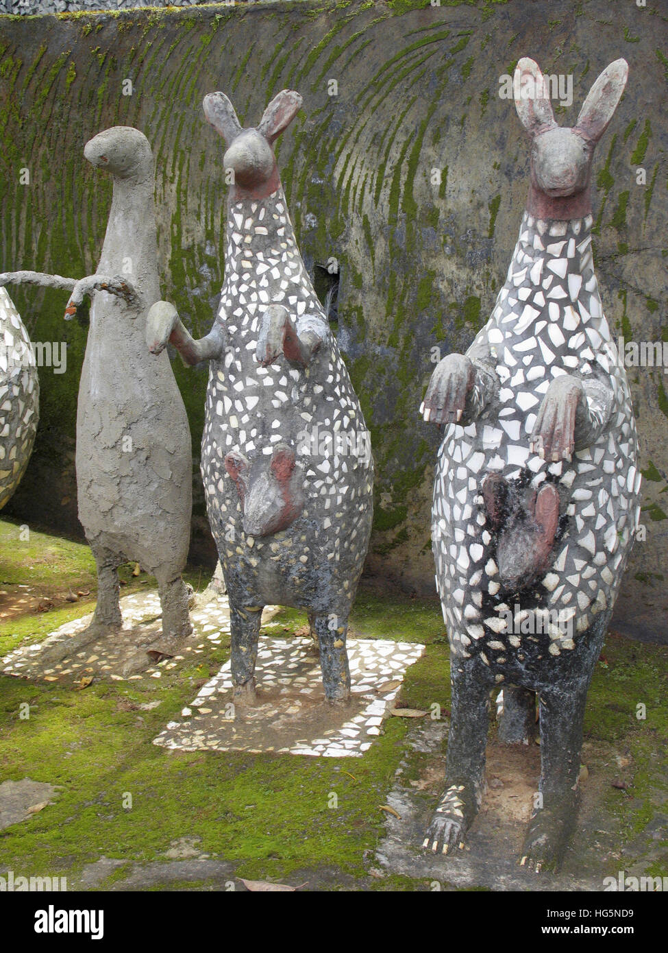 Kangaroos, Rock Garden, Malampuzha, Kerala, India Stock Photo - Alamy