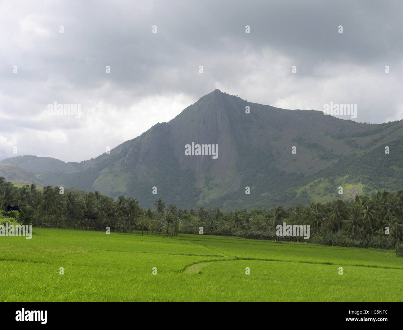 Landscape. Nelliyampathy Hill, Palakkad, Kerala, India Stock Photo - Alamy