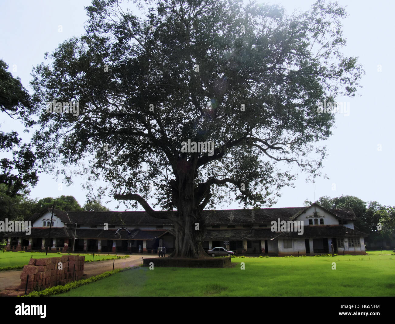 Tipu Sultan Fort wall, Palakkad, Kerala, India Stock Photo - Alamy