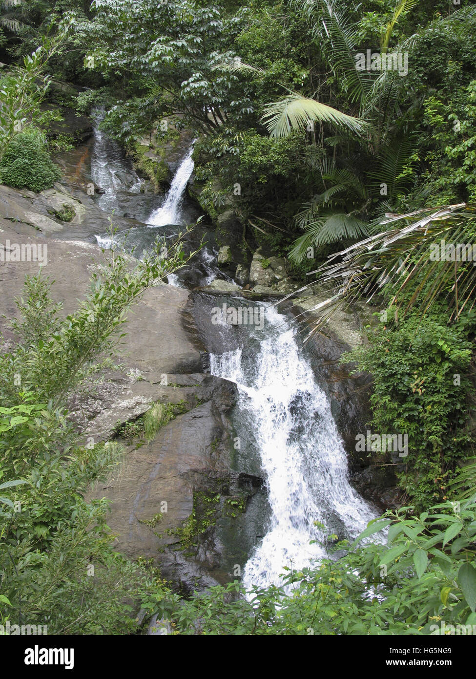 Waterfall in Nelliyampathy Hill, Palakkad, Kerala, India Stock Photo ...