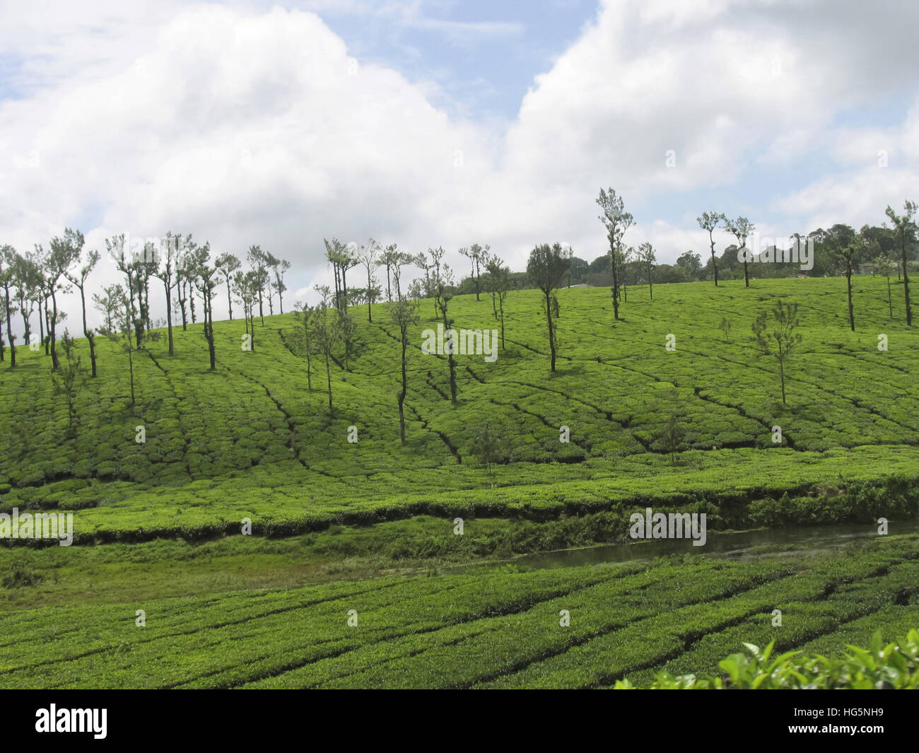 Nelliyampathy hills palakkad hi-res stock photography and images - Alamy
