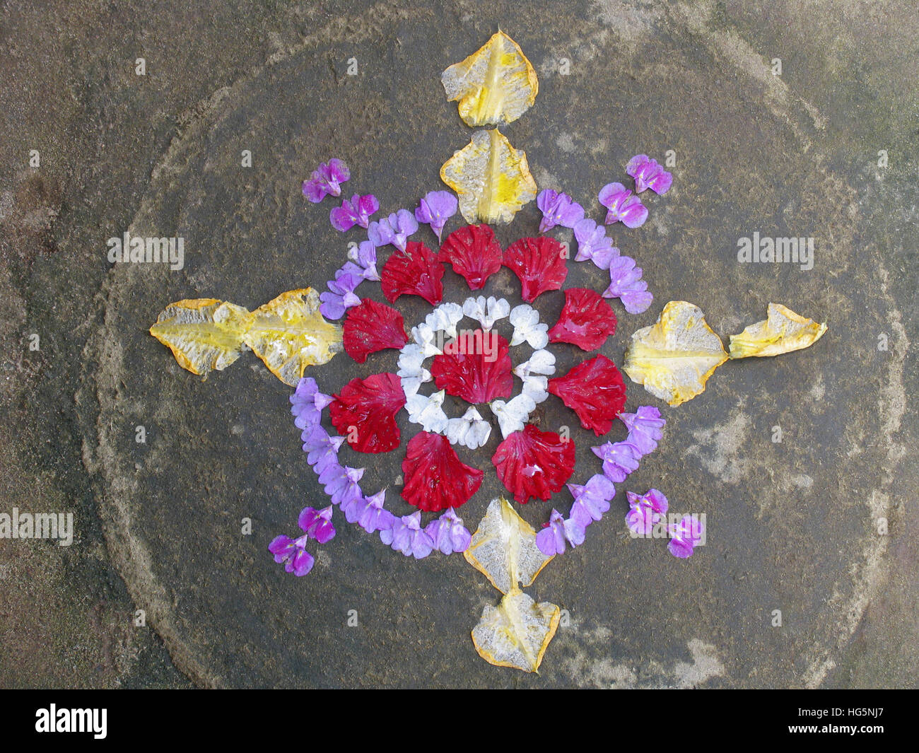 Flower decoration, during Onam festival in Kerala. Flowers are brought ...