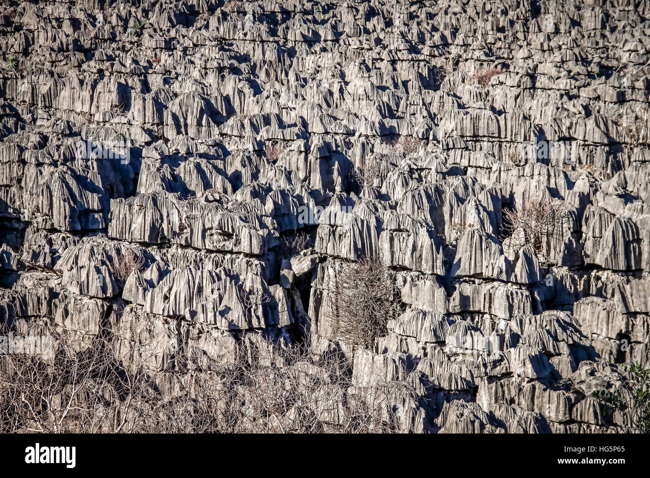 Tsingy rock formations in Park National Ankarana in Madagascar Stock ...