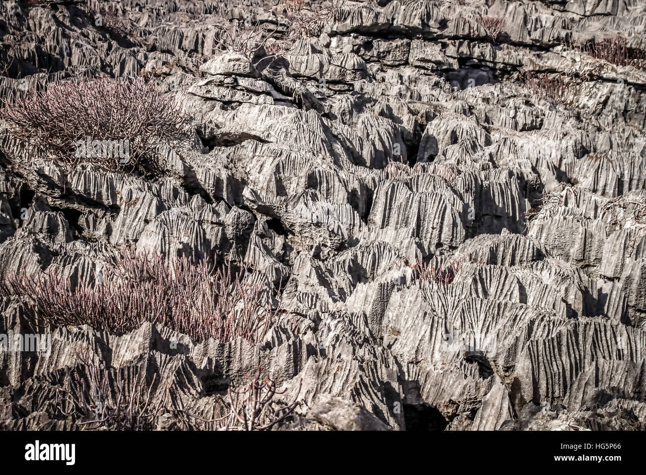 Tsingy rock formations in Park National Ankarana in Madagascar Stock ...