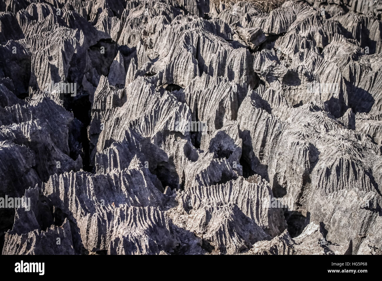 Tsingy rock formations in Park National Ankarana in Madagascar Stock ...